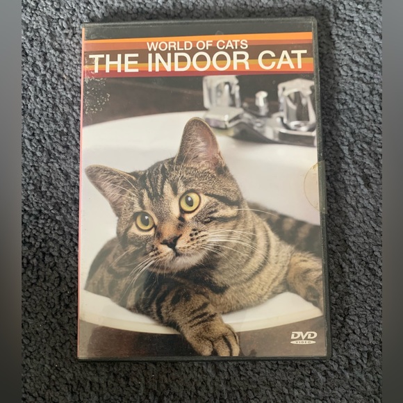 Media | New In Plastic World Of Cats The Indoor Cat Dvd | Poshmark